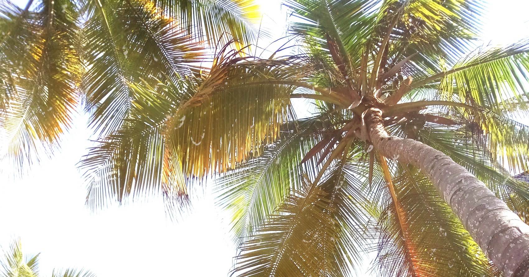 Bring a lightweight Serverless experience to DigitalOcean with ...